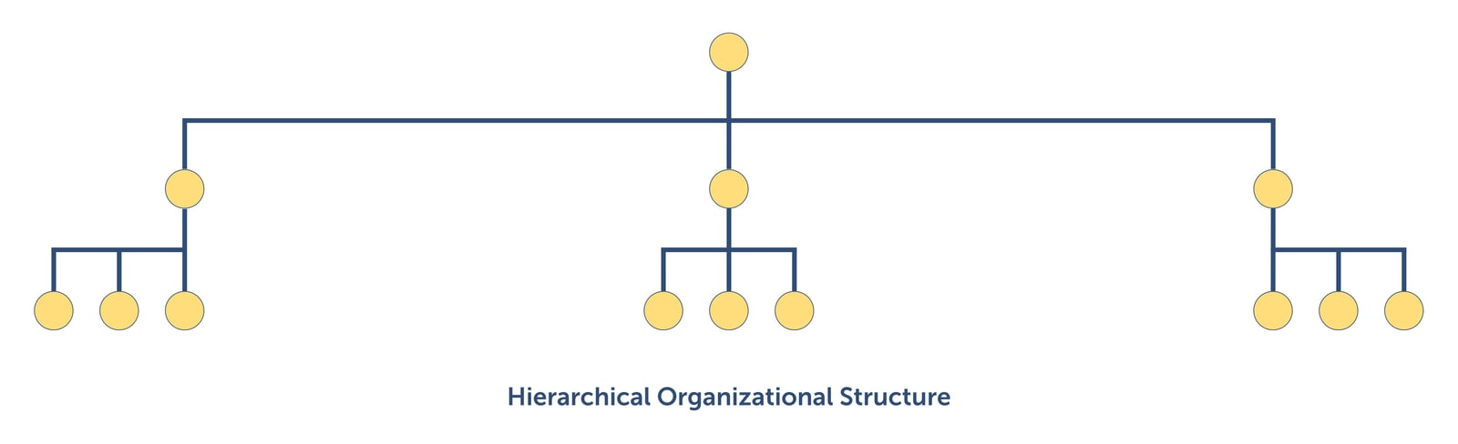 Project Organizational Structure The Complete Guide